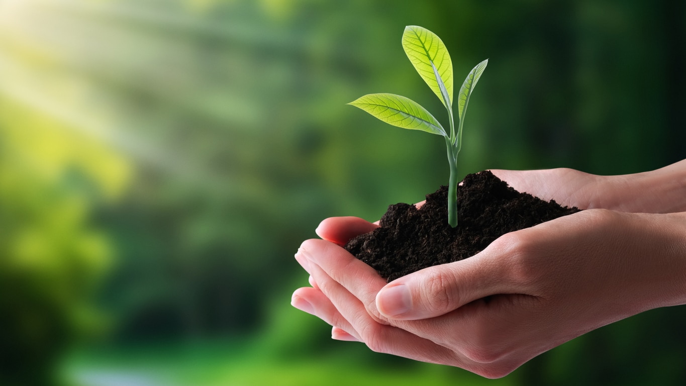 What Is Earth Day And Why Do We Celebrate It Watsons Indonesia what-is-earth-day-and-why-do-we-celebrate-it-watsons-indonesia